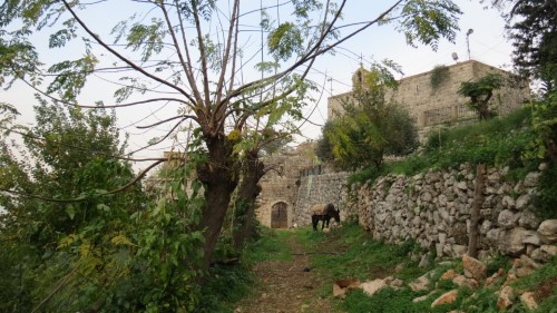 Hiking Trip - Darb El Sama - Darb El Qamar Hike - Keserwan District on ...