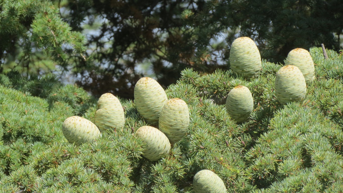 Hiking Trip - Maaser El Chouf Hike - New Aquafina Trail - Chouf ...