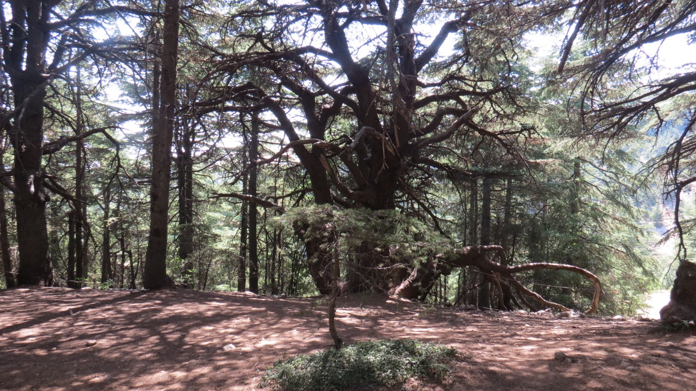Hiking Trip - Maaser El Chouf Hike - New Aquafina Trail - Chouf ...