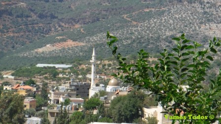 Hiking Trip - Kfarchouba to Hebbarieh Hike - Hasbaya District on 29 Sep ...