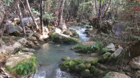 Hiking Trip - Serjbel Hike - Chouf District on 21 Apr 2025 | Events ...
