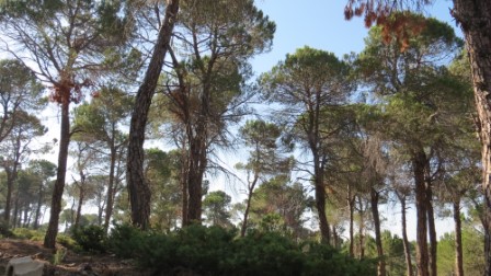 Hiking Trip - Marj Baskinta Hike - Maten District on 17 Dec 2023 ...