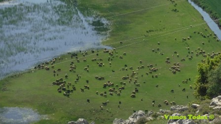 Relaxing Day - Ammiq Ecotourism Day and Tawlet Ammiq! - Bekaa Valley on ...