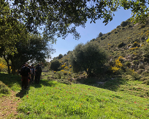 Hiking Trip - Ain Ebel Hike - South District on 11 Jun 2023 | Events ...