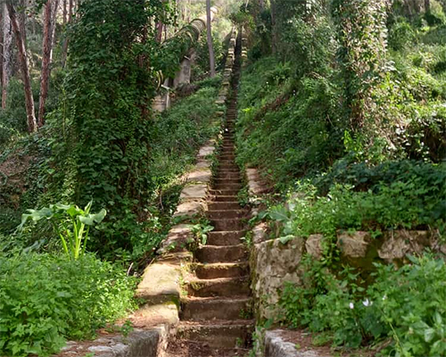 Hiking Trip - Mejdel - Kaftoun Hike - Koura District on 10 Apr 2023 ...