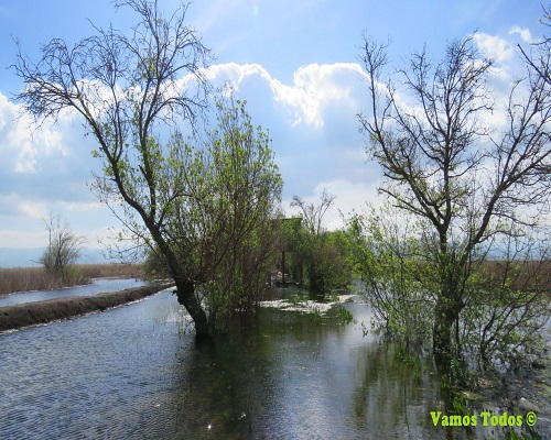 Hiking Trip - Ammiq Reserve Hike - West Bekaa on 18 Mar 2023 | Events ...