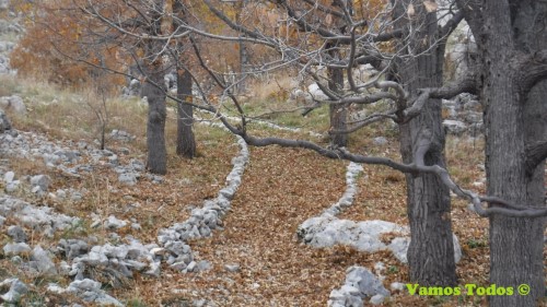Hiking Trip - Almat Hike - Jbeil District on 31 Oct 2021 | Events ...