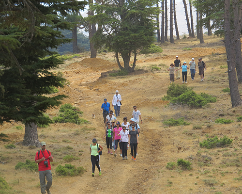 Hiking Trip - Arz Hadath El Jebbeh Hike - Bcharre District on 09 Jul ...