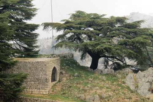 Hiking Trip - Ehmej to Arz Jaj Hike - Jbeil District on 09 Oct 2022 ...